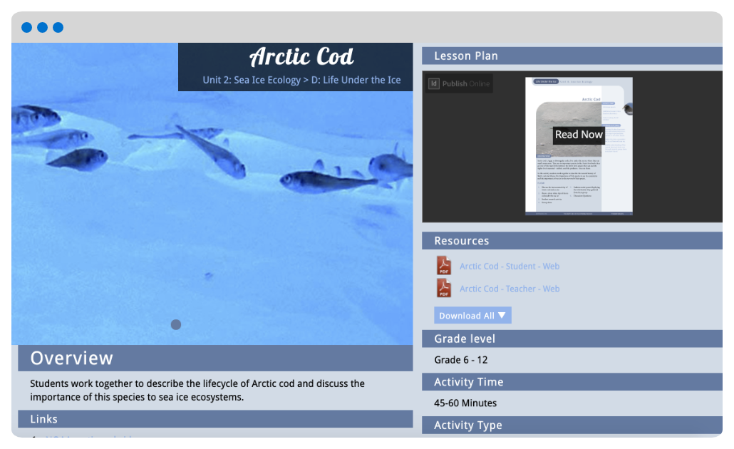 Arctic Cod - Nunavik-IcE