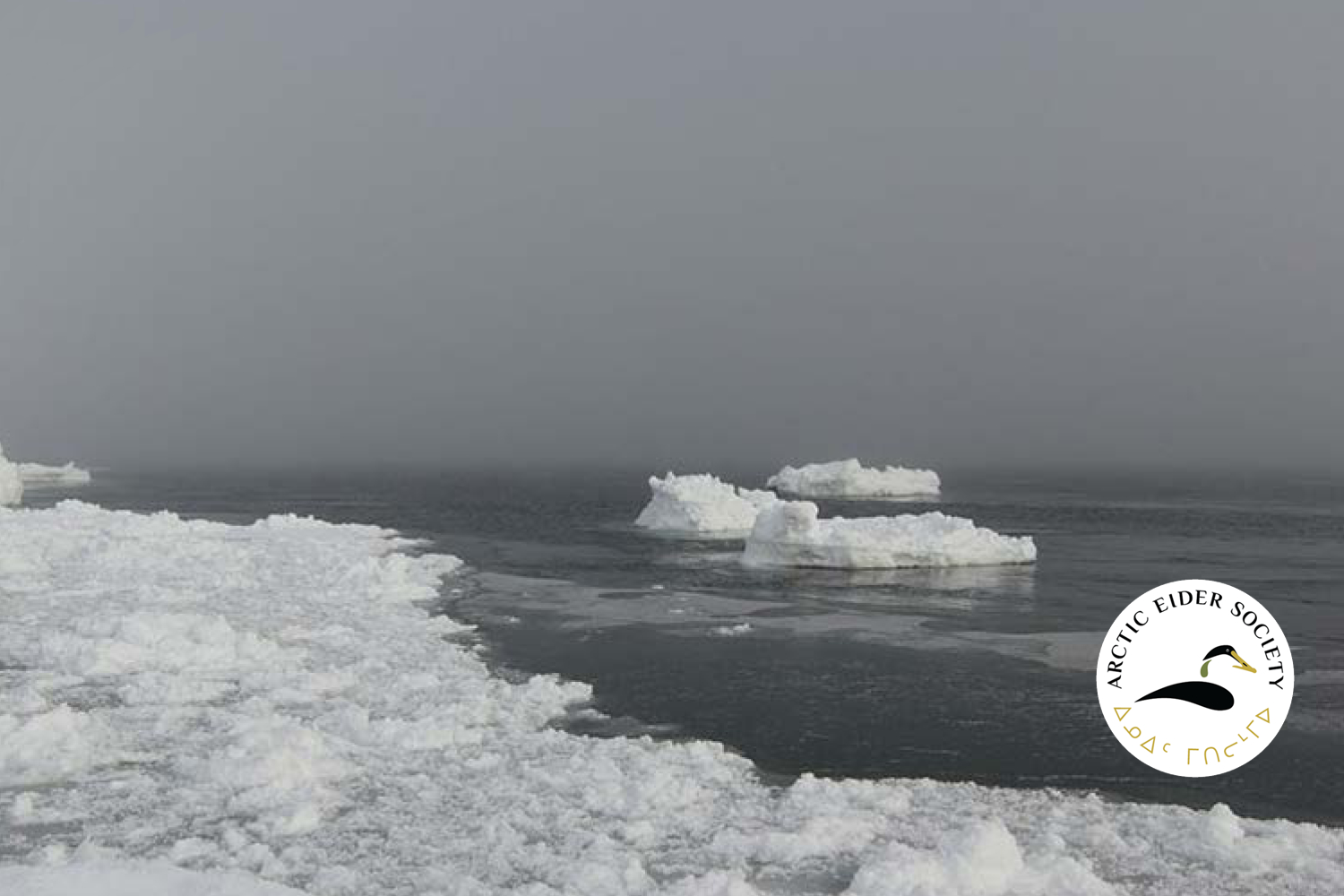 Floe Edge - Nunavik-IcE