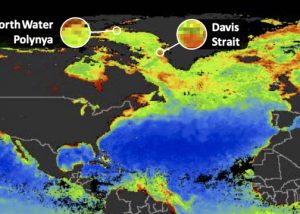 Ocean Productivity - Nunavik-IcE