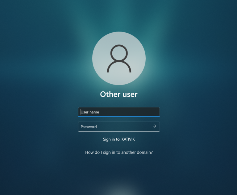 Guide to your Work Laptop - Nunavik-IcE